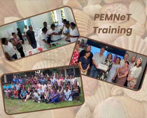 Pacific Emergency Maternal and Neonatal Training (PEMNeT) - Pacific ...